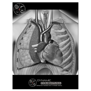 Targets - Dynamic Combative Solutions